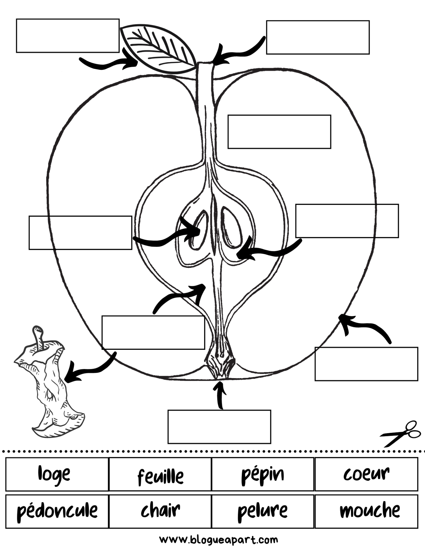 Les pommes - Blogue à part