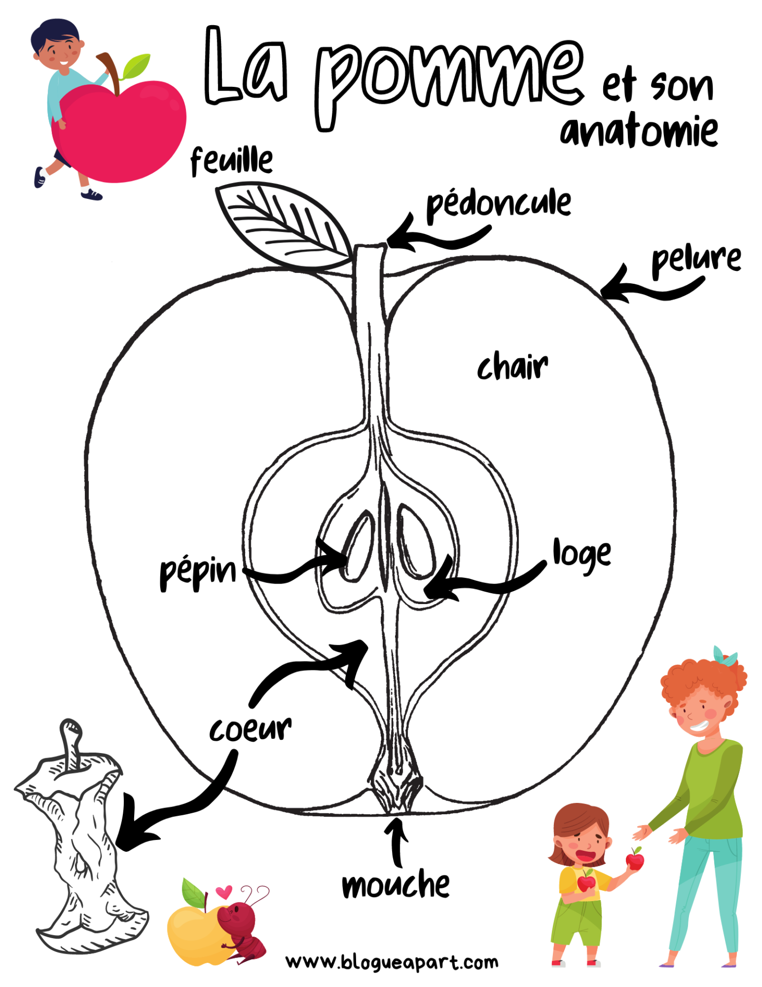 Les pommes - Blogue à part