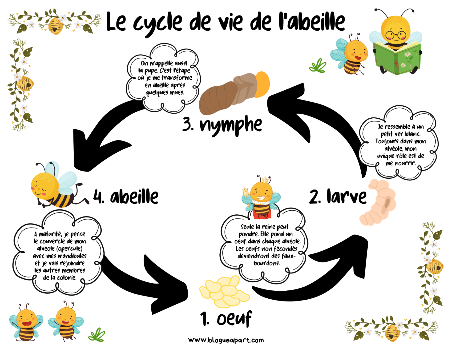Les abeilles - Blogue à part
