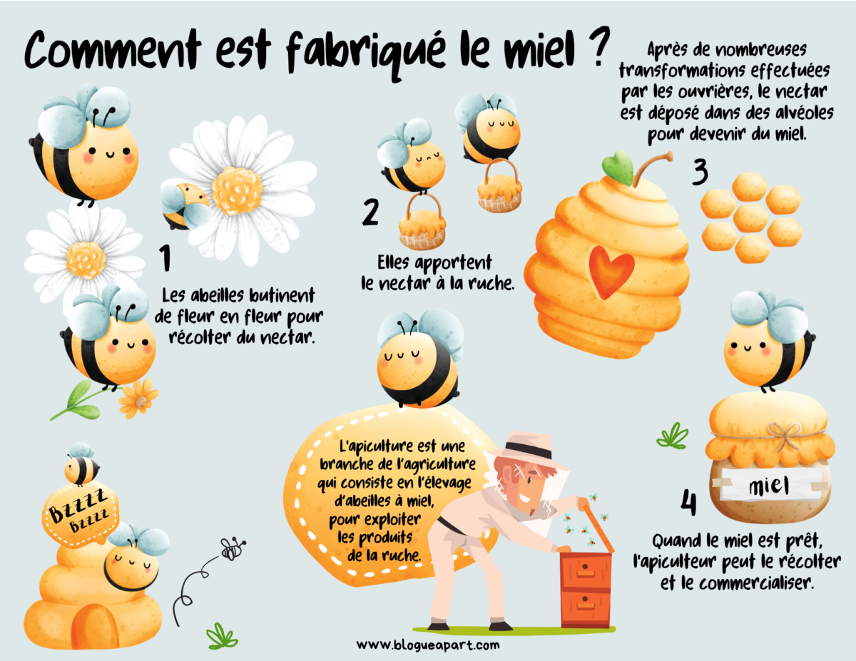 Les abeilles - Blogue à part