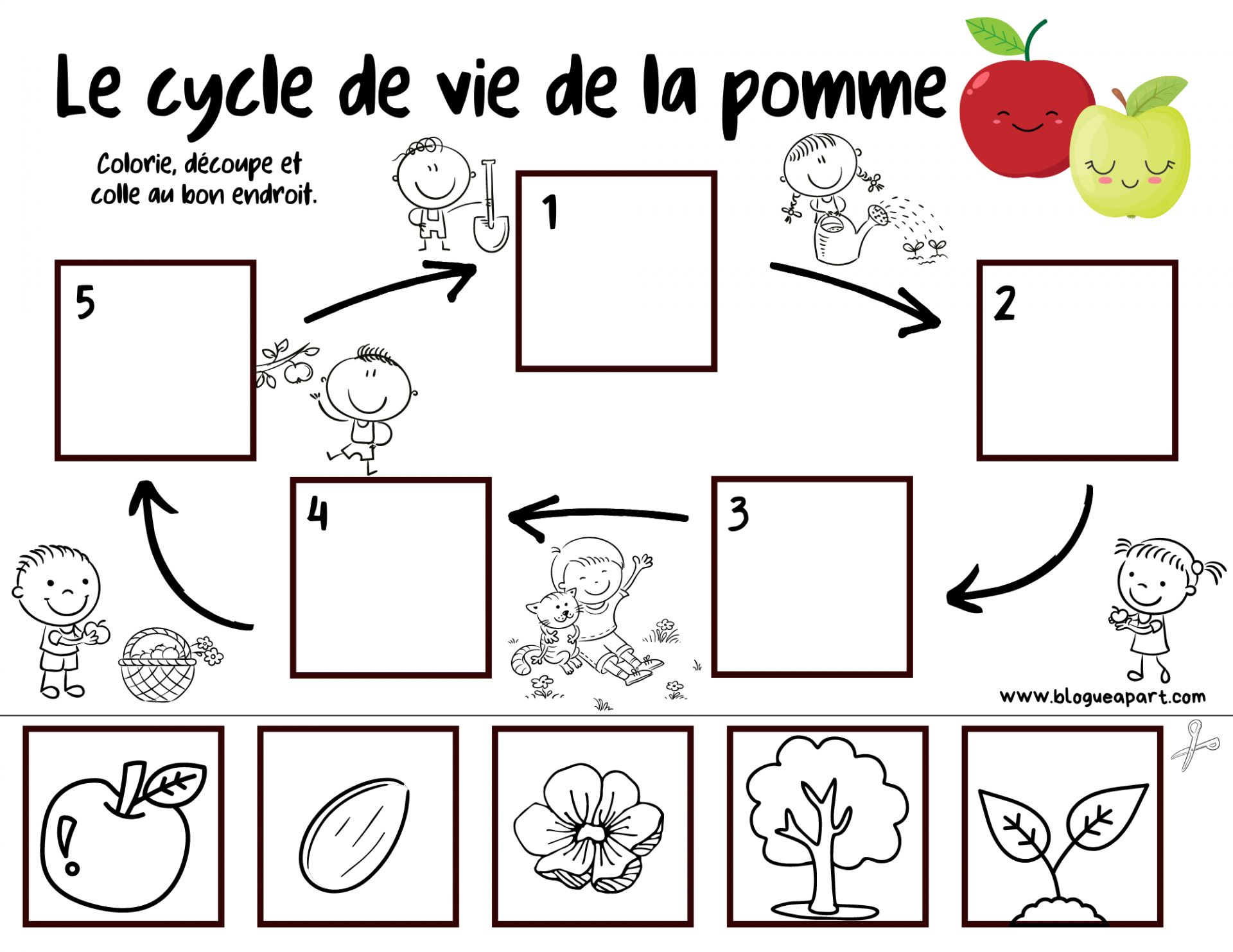 Les pommes - Blogue à part