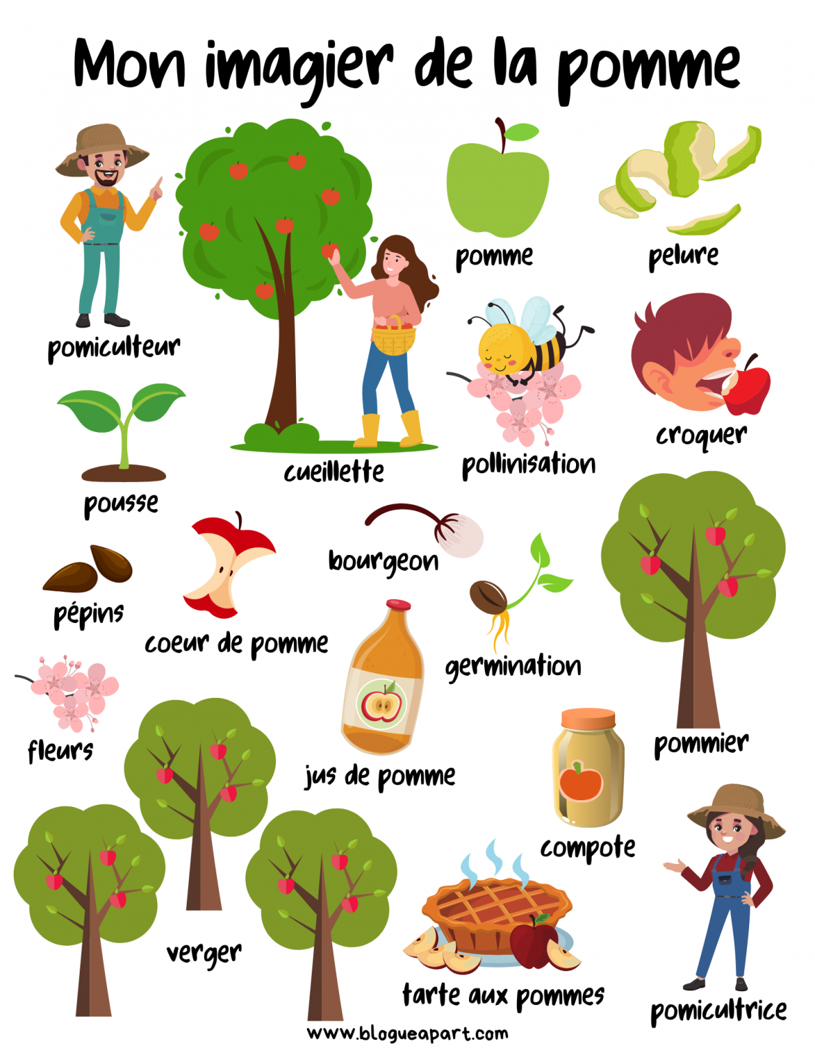 Les pommes - Blogue à part